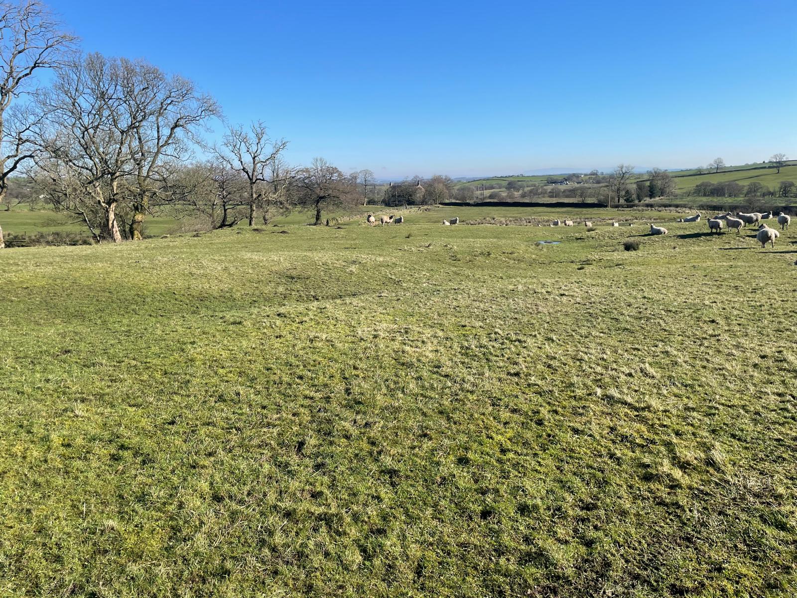 Lower Harrop Fold Farm - SOLD - Pallisters Property